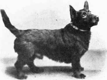 Captain Tom Wetherall