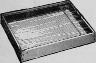 Developing Room For Dry Plates