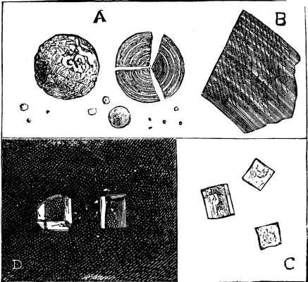 On Crystals Of Anhydrous Lime