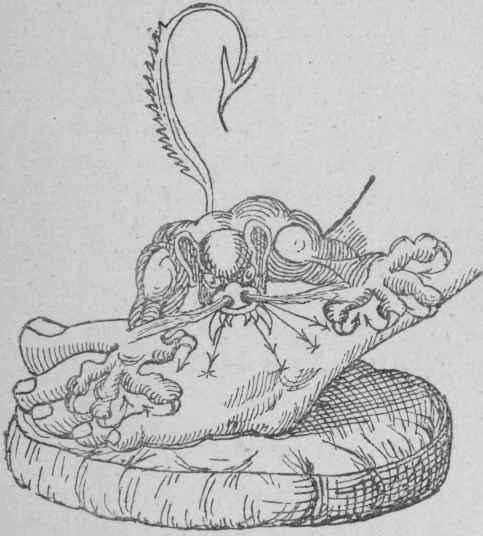 Introduction Of The Gout