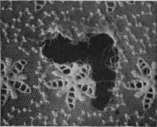 Net Ahd Valenciennes Lace Mending
