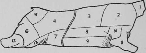 XII. Beef