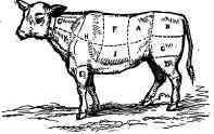 How To Cut Meat