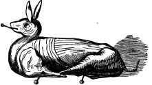 How To Roast A Hare