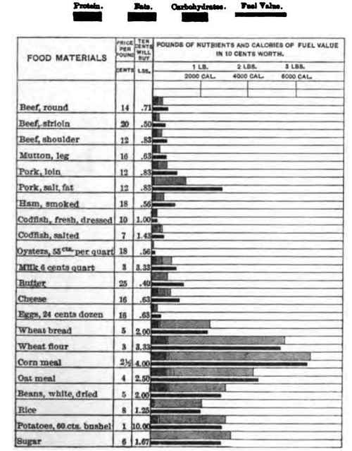 Food And Food Economy