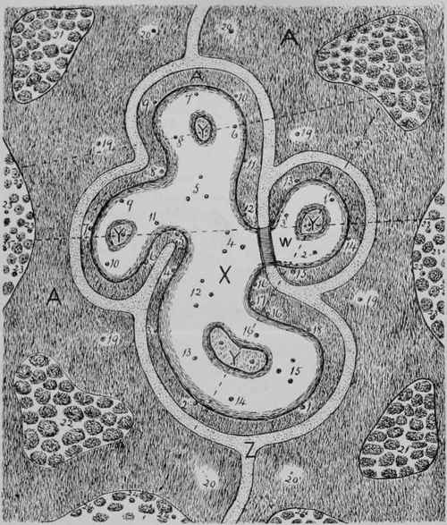 Chapter 13. On Water Gardens