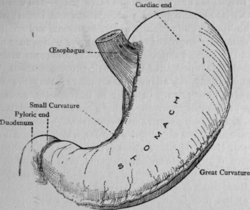 Subcostal Plane