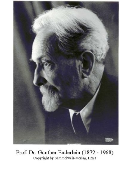 Origins of Pleomorphism
