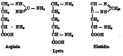 Absorption, Assimilation, And The Processes Of Metabolism. Part 8
