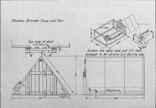 Chicken Brooder Coop And Run