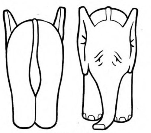 How To Whittle The Elephant