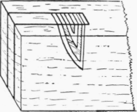 Exercise VIII. The Angle Bridle, Or Open Mortice And Tenon Joint