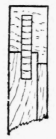Exercise XVII.Stopped, Grooved And Cross-Tongued Mitre Joint