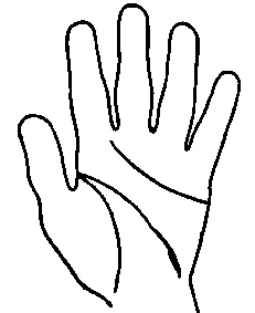 The Line Of Head. Part 7