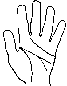 The Line Of Head. Part 7