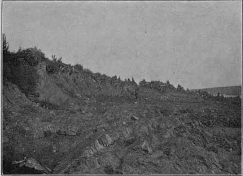 Snow, Ice, The Sea, Lakes, Animals And Plants as Destructive Processes ...